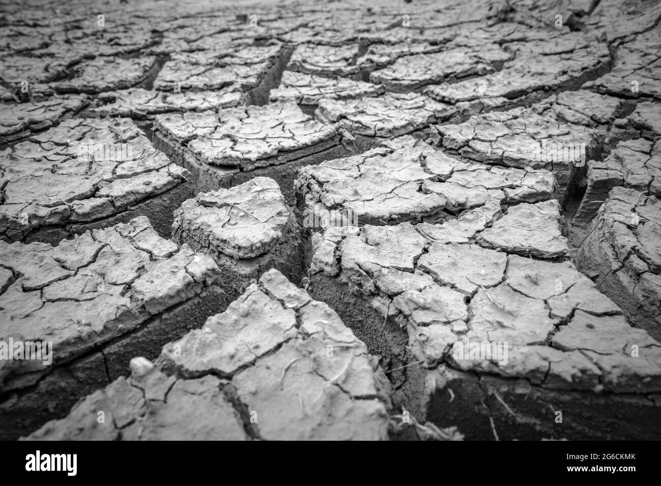 Thick Mud with Deep Cracks in Black and White from low angle Stock ...