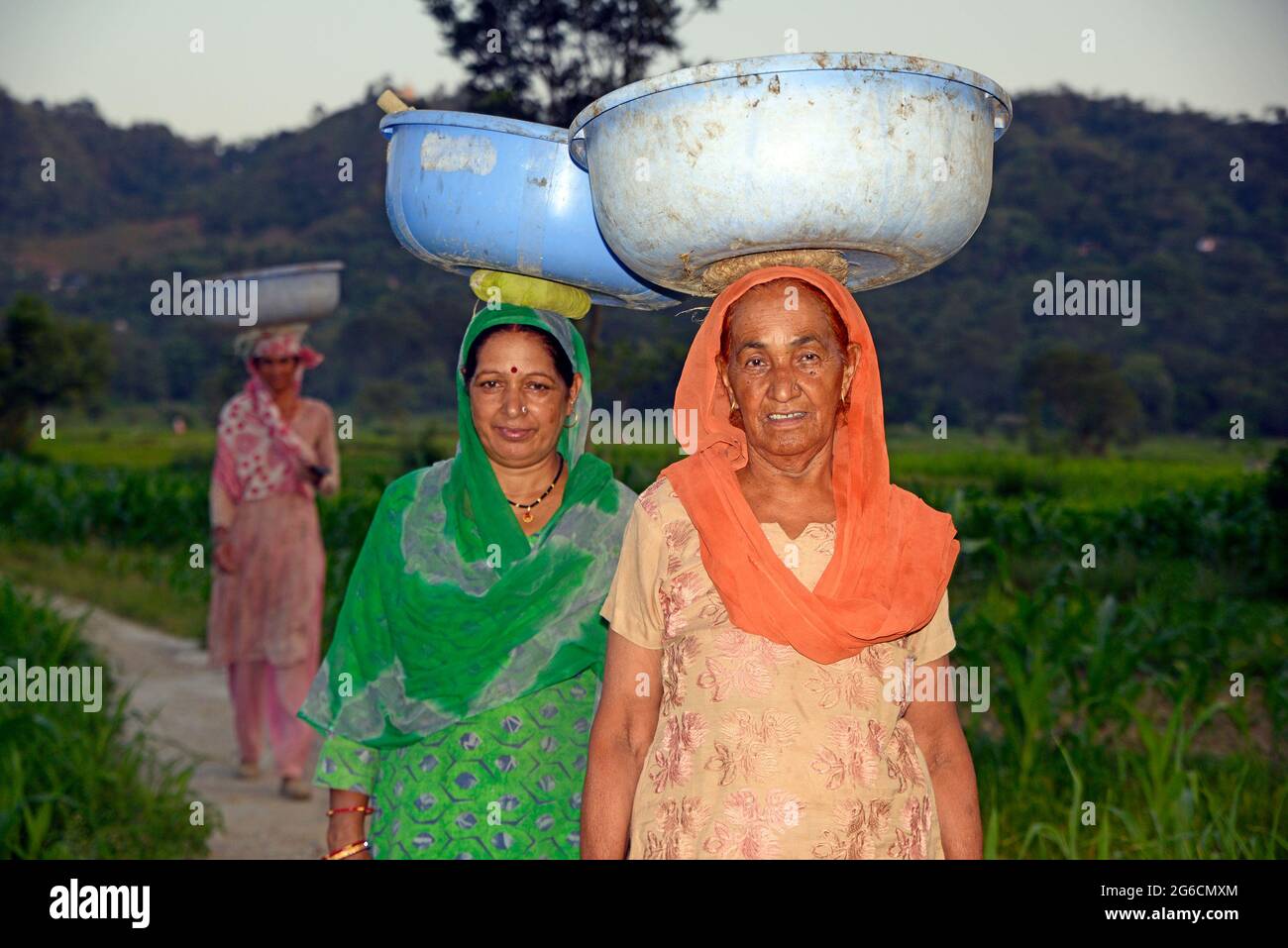 Women carrying cow dung on her head Stock Photo - Alamy