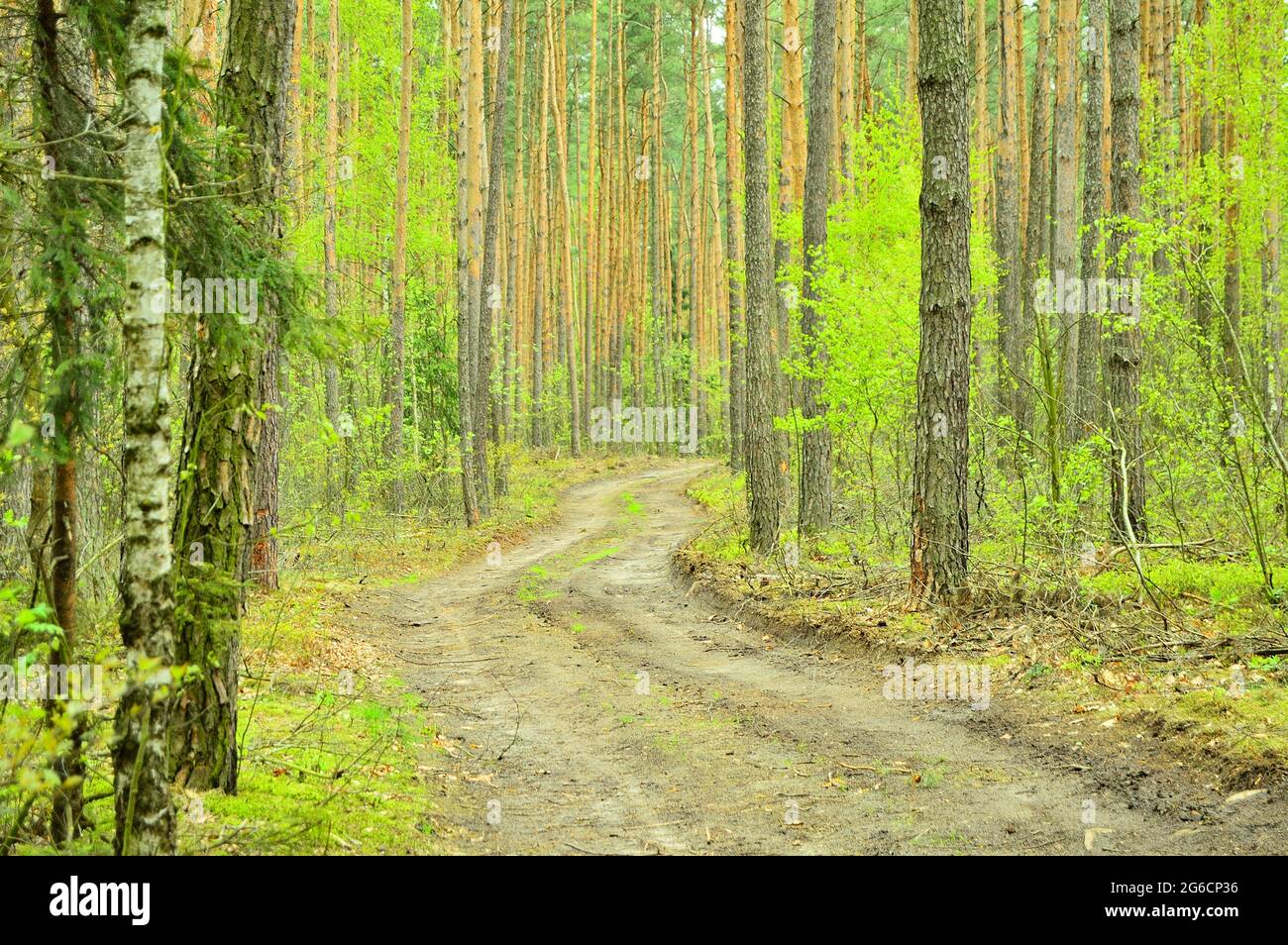 Green and mud color hi-res stock photography and images - Alamy