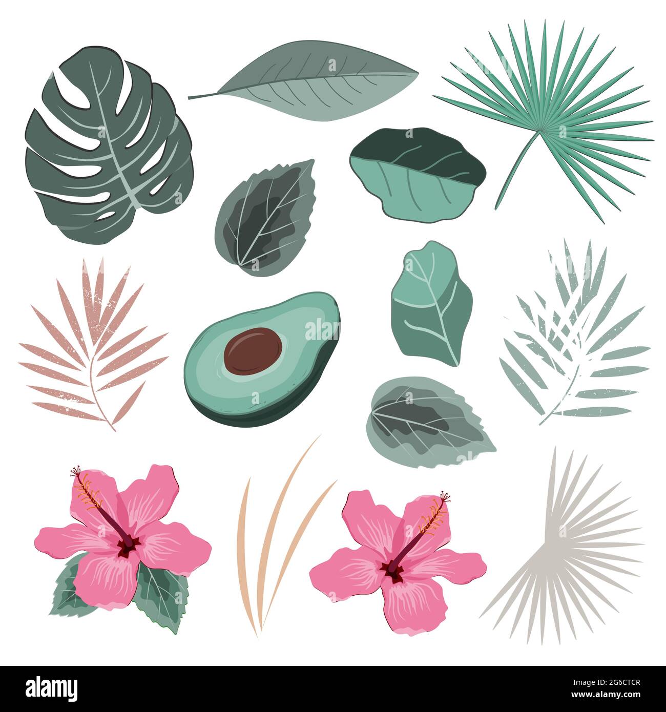 Vector set with wild tropical rainforest plants leaves and flowers ...