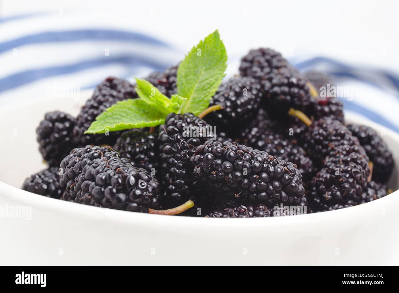 Mulberry fruit hi-res stock photography and images - Alamy