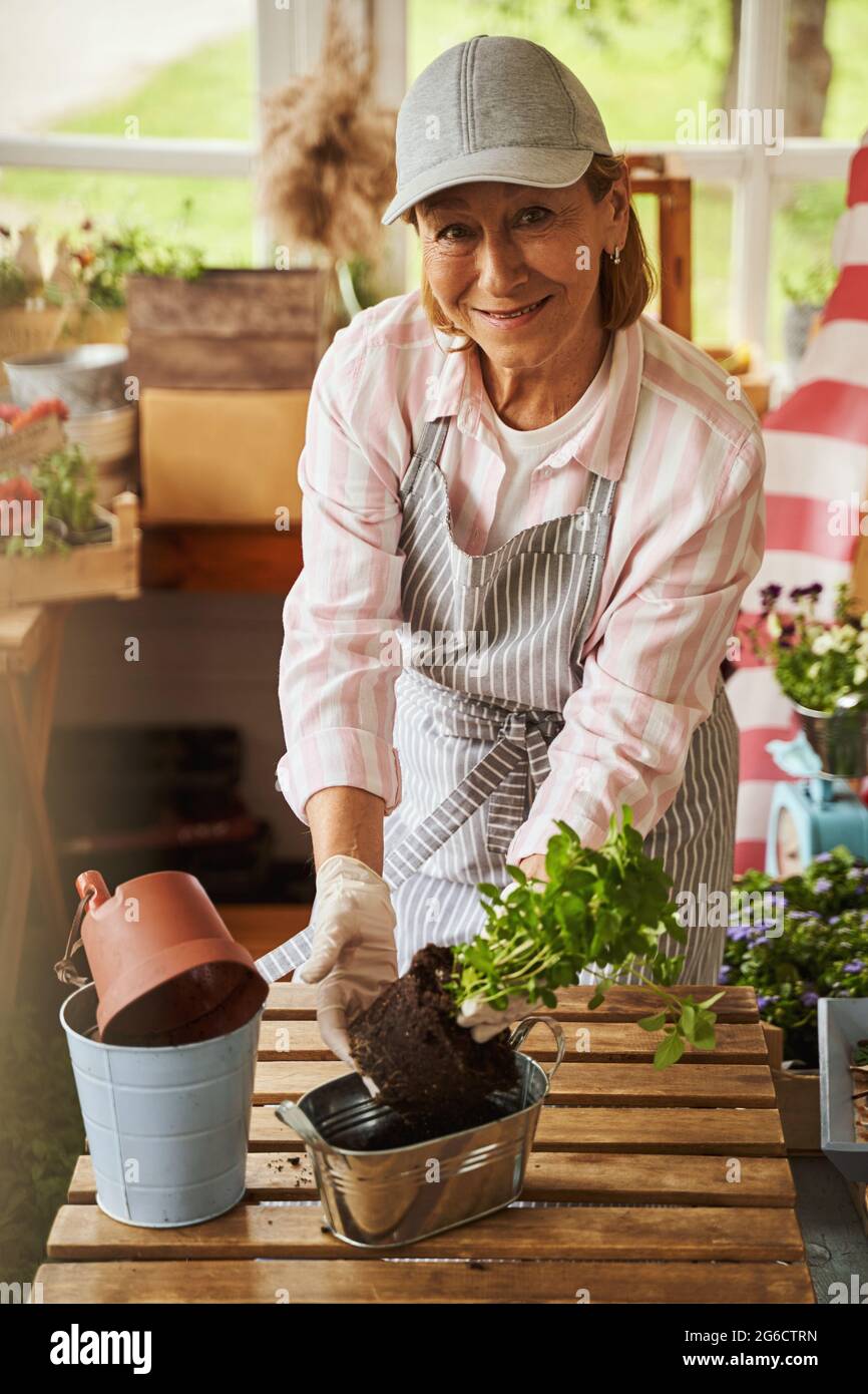 Happy elderly woman planting small bush on veranda Stock Photo - Alamy