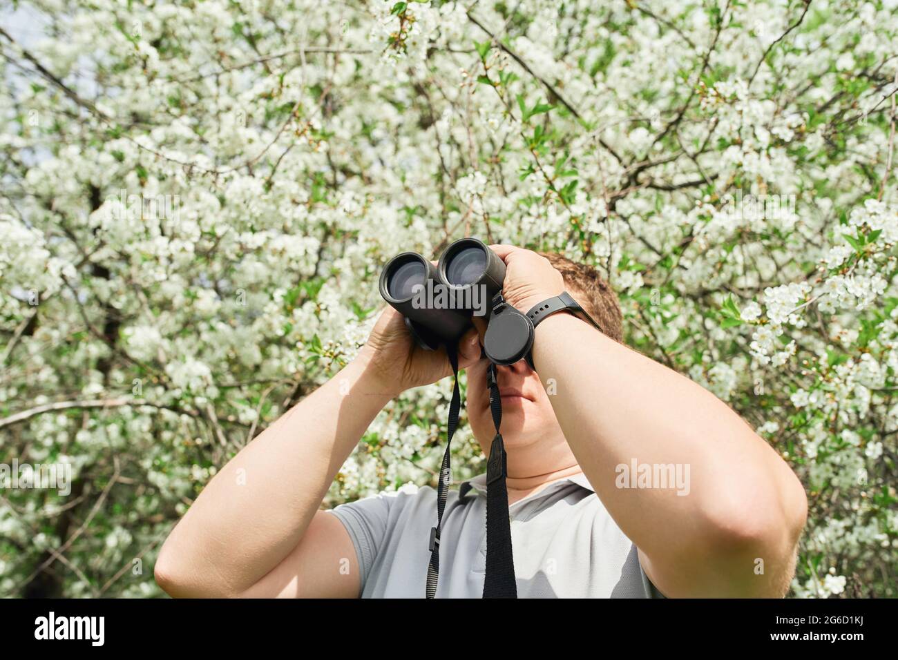 Observing birds in woodland hi-res stock photography and images - Alamy