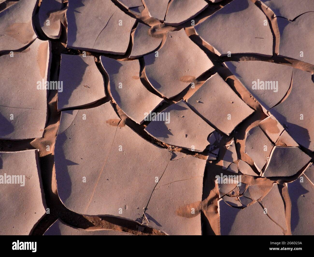 Cracked surface of dried clay hi-res stock photography and images - Alamy