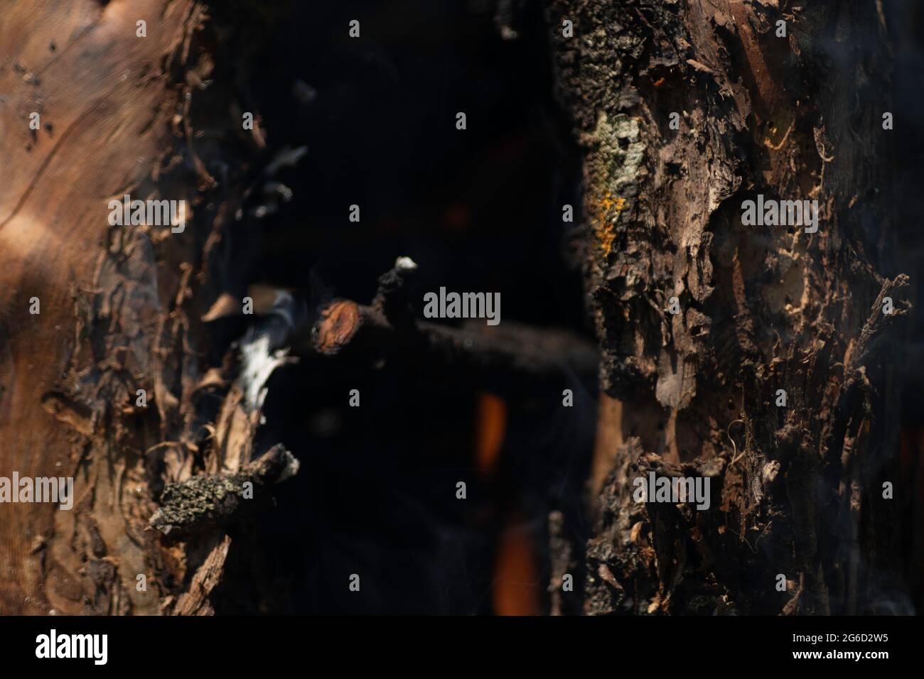 hot logs, fire in a bonfire and charred logs Stock Photo - Alamy