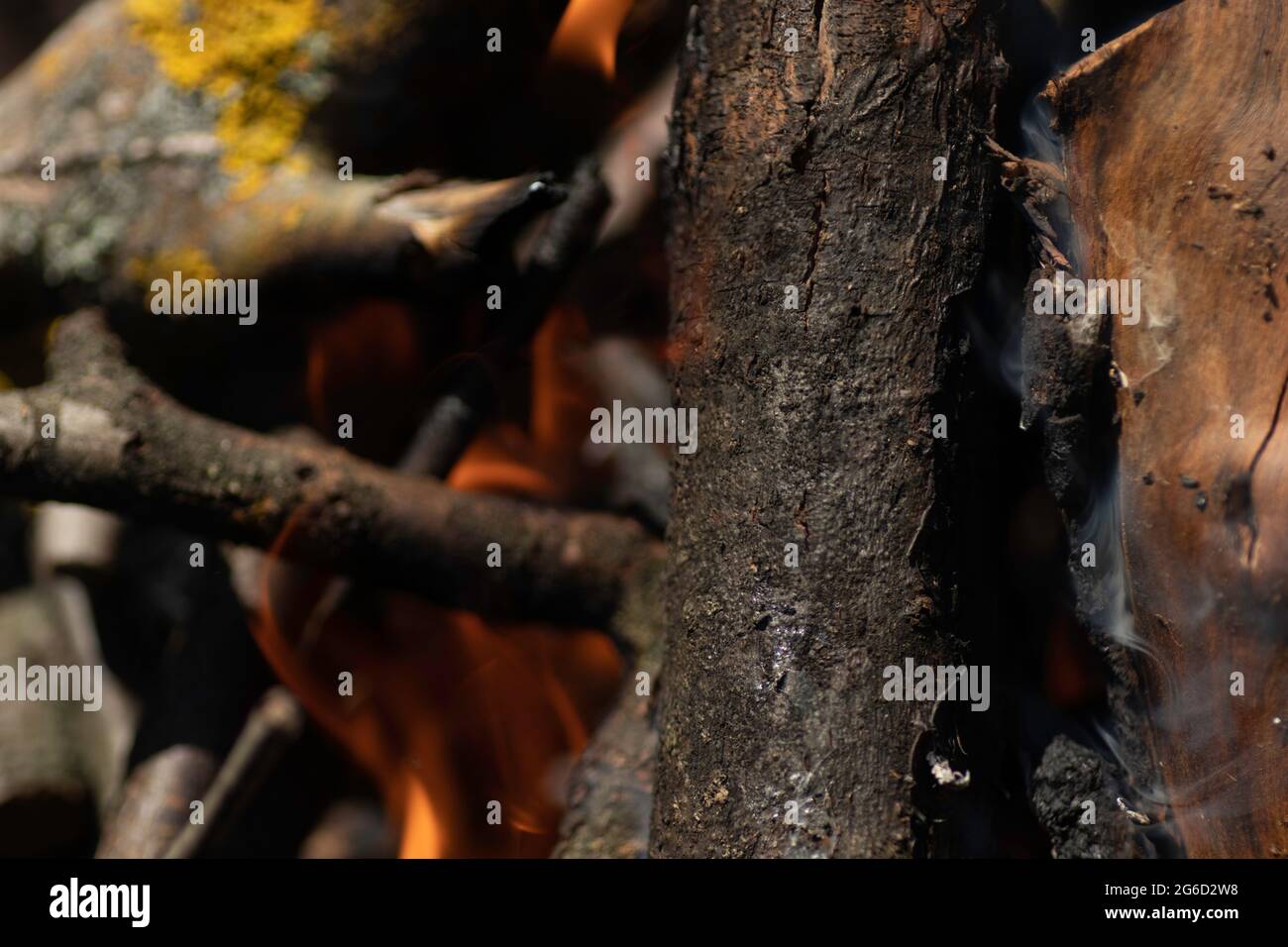 hot logs, fire in a bonfire and charred logs Stock Photo - Alamy