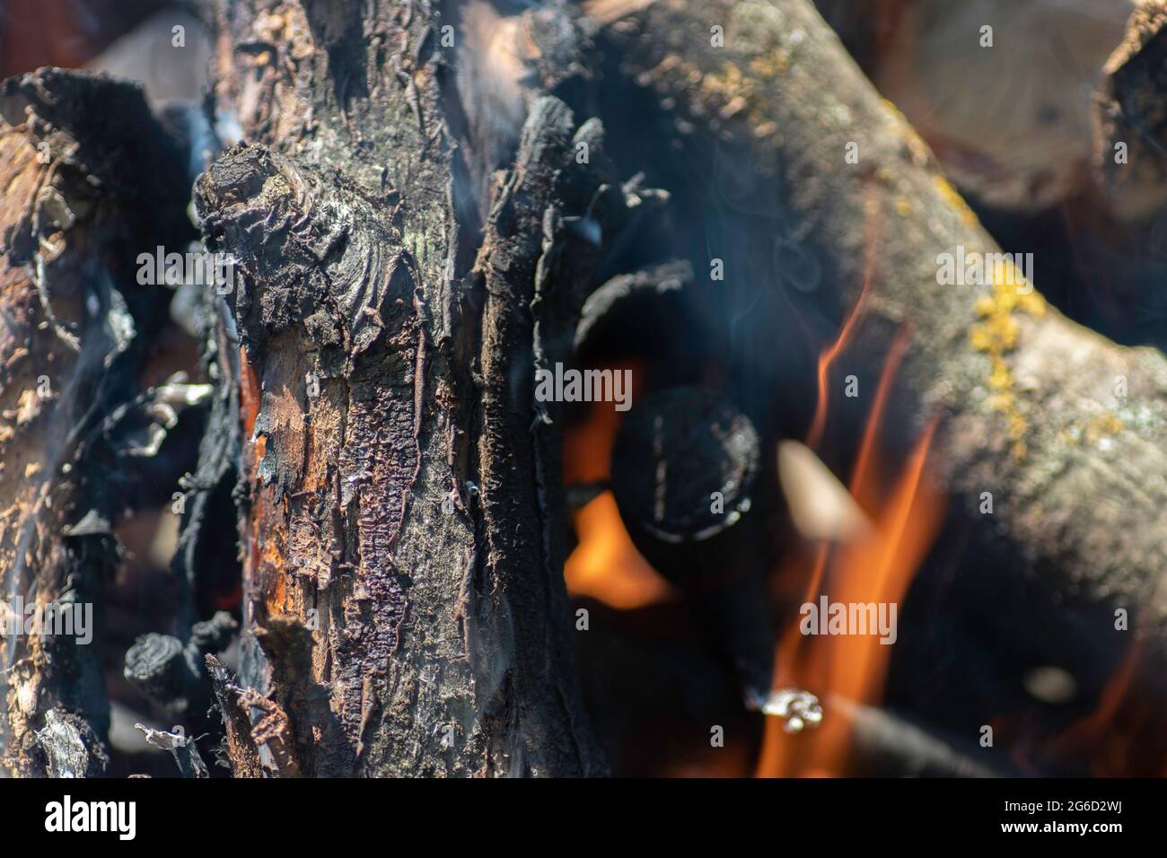 hot logs, fire in a bonfire and charred logs Stock Photo - Alamy