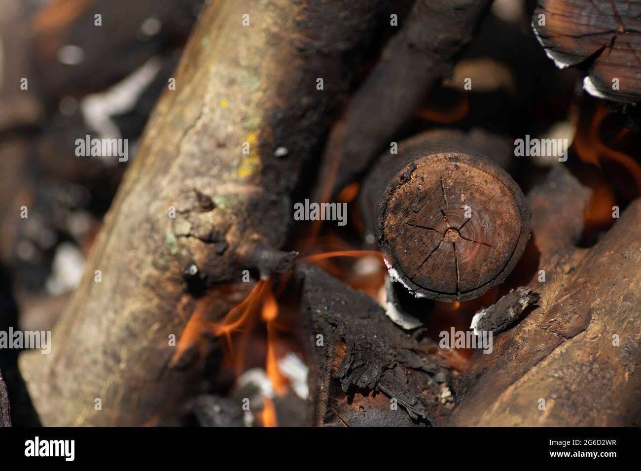 hot logs, fire in a bonfire and charred logs Stock Photo - Alamy
