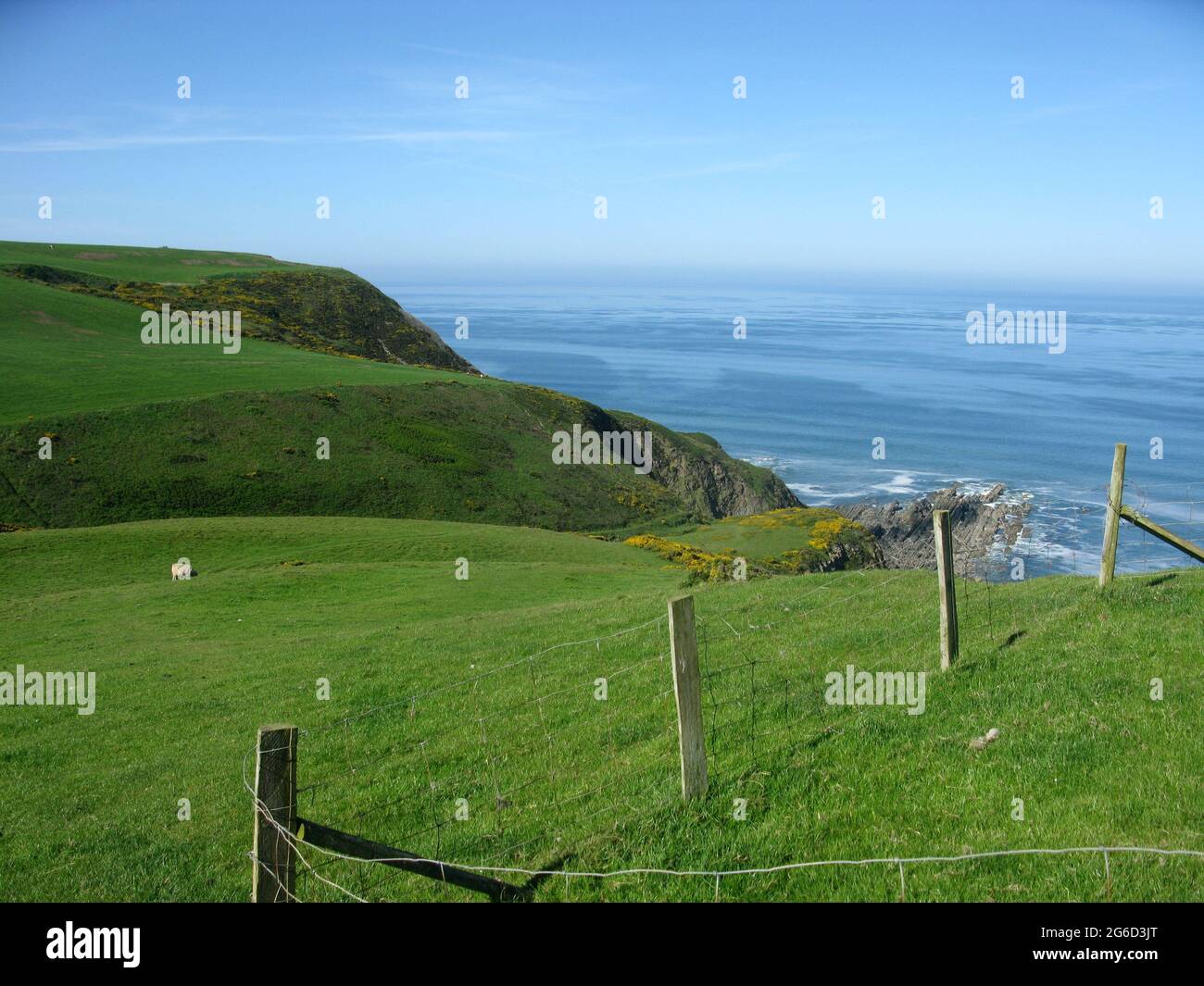 South west coast path. North Cornwall. West country. England. UK Stock ...