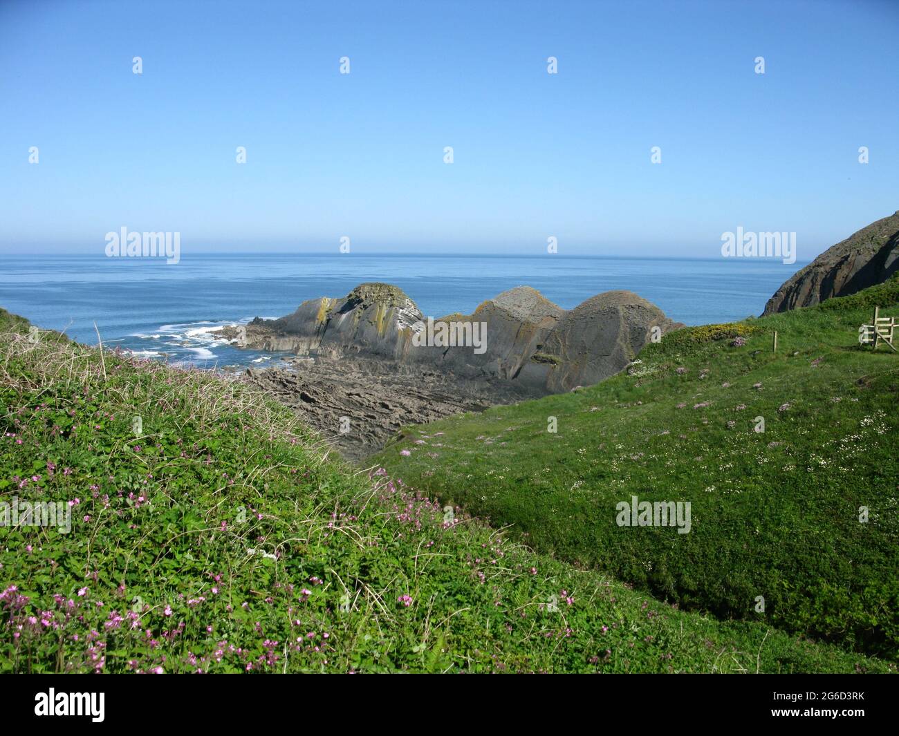 South west coast path. North Cornwall. West country. England. UK Stock ...