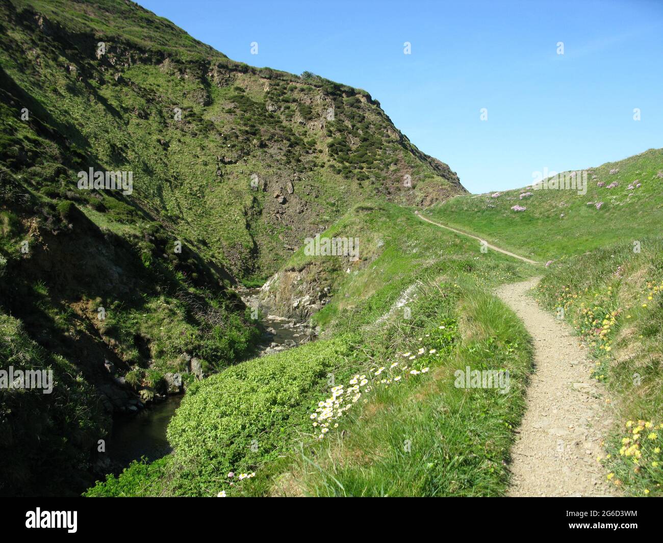 Devon cornish country border hi-res stock photography and images - Alamy