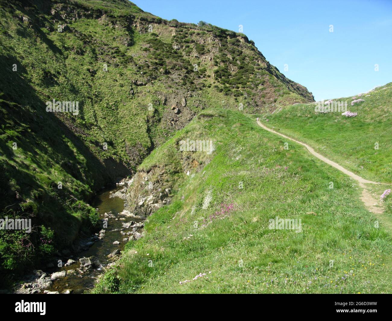 Devon cornish country border hi-res stock photography and images - Alamy