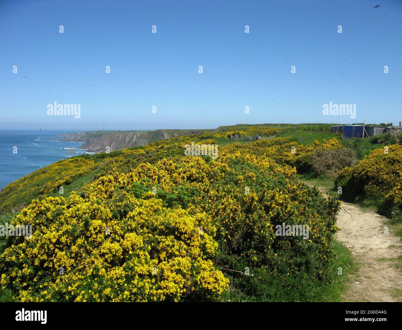 South west coast path. North Cornwall. West country. England. UK Stock ...