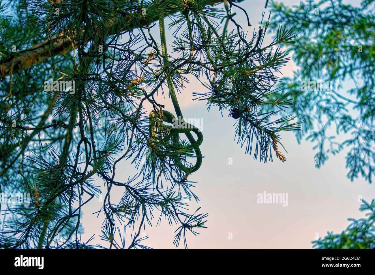 A strong rope hi-res stock photography and images - Alamy