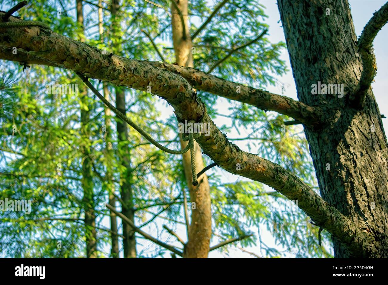 A strong rope hi-res stock photography and images - Alamy