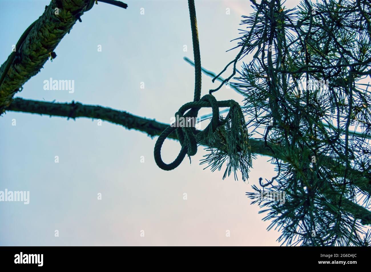 Strong rope hi-res stock photography and images - Alamy