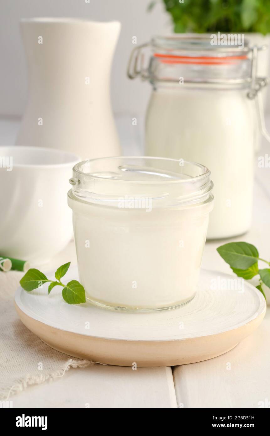 Dairy starter culture for the preparation of fermented milk products ...