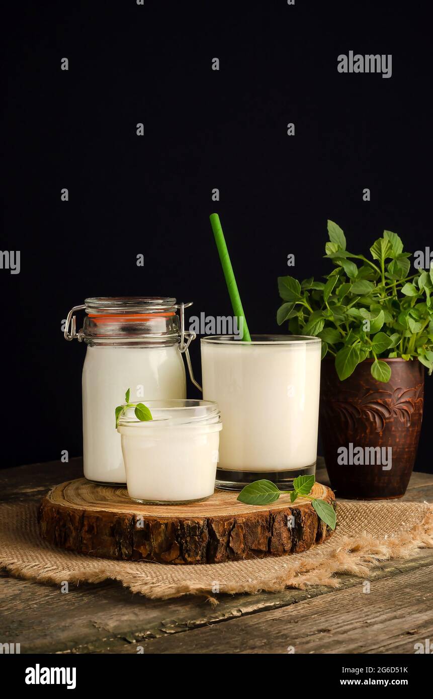 Dairy starter culture for the preparation of fermented milk products ...