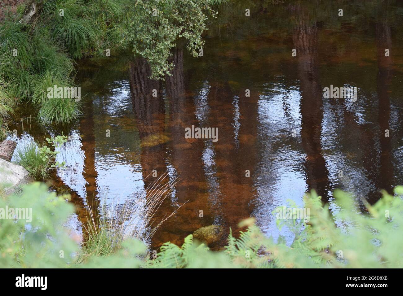 Tarn border hi-res stock photography and images - Alamy