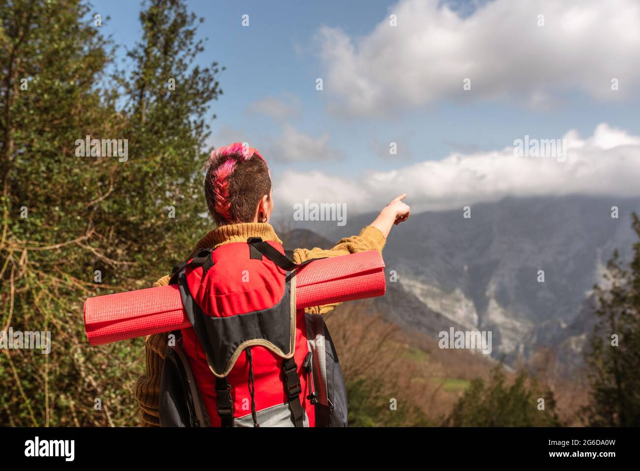 Back view of delighted female traveler with backpack standing in ...