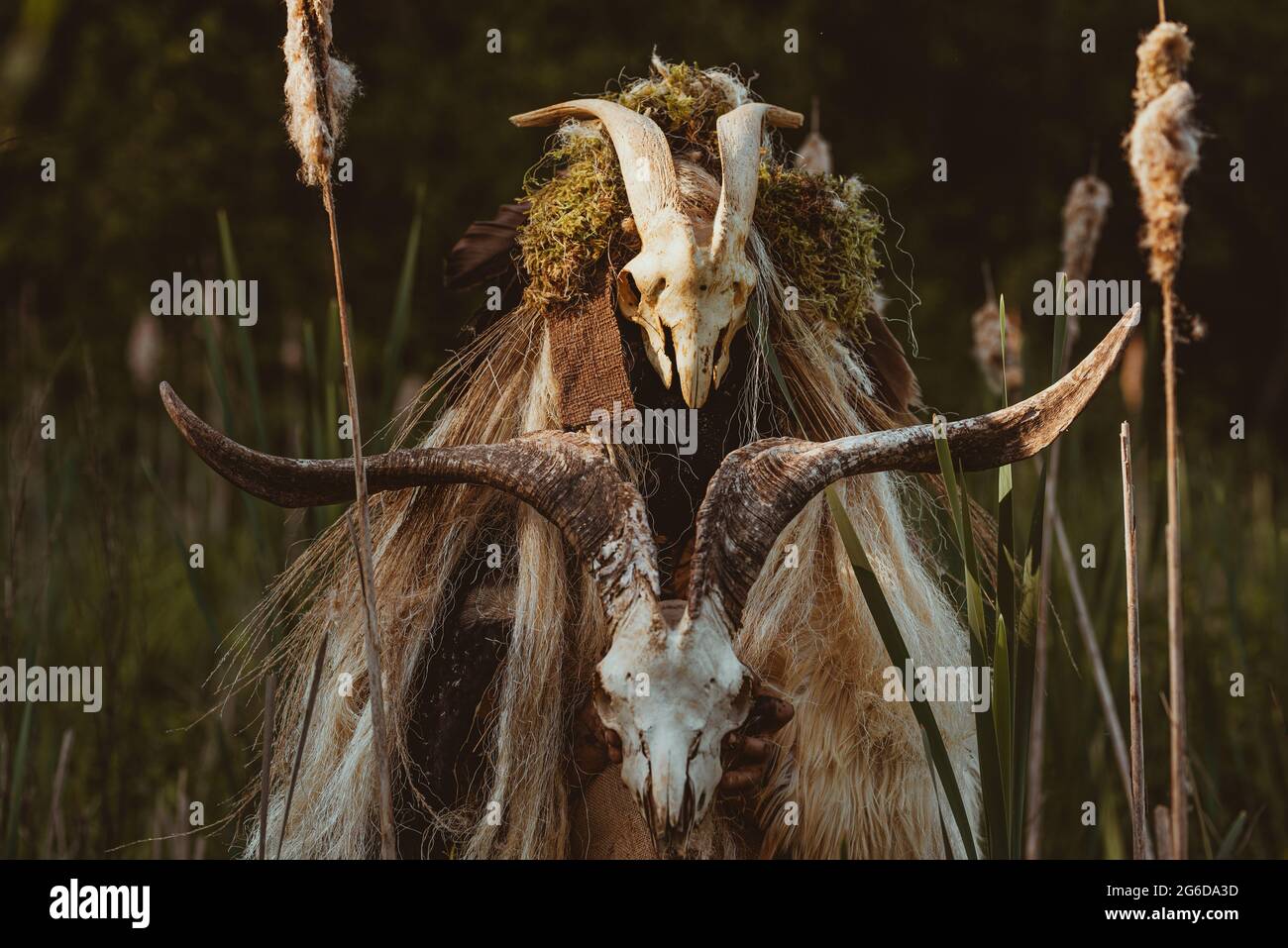 Shaman invoking the spirits in a ceremony in a forest Stock Photo - Alamy