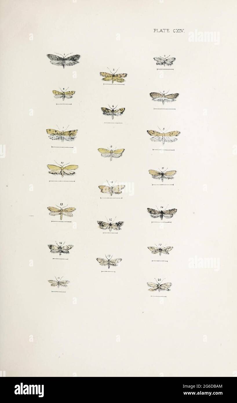 John c nimmo hi-res stock photography and images - Alamy