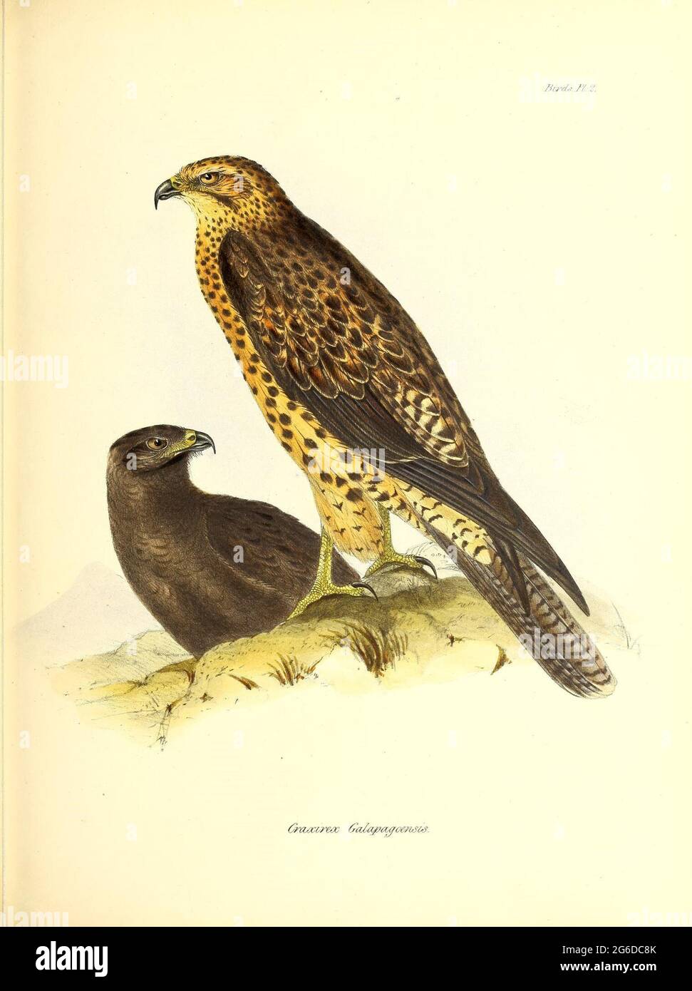 H r diagram hi-res stock photography and images - Alamy