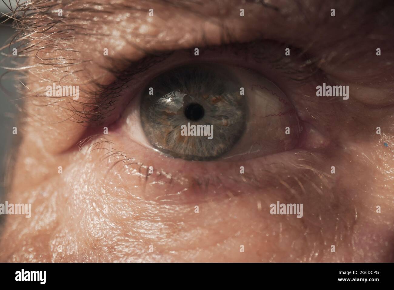 Macro view of brown eye of anonymous person lit by sunlight looking at ...