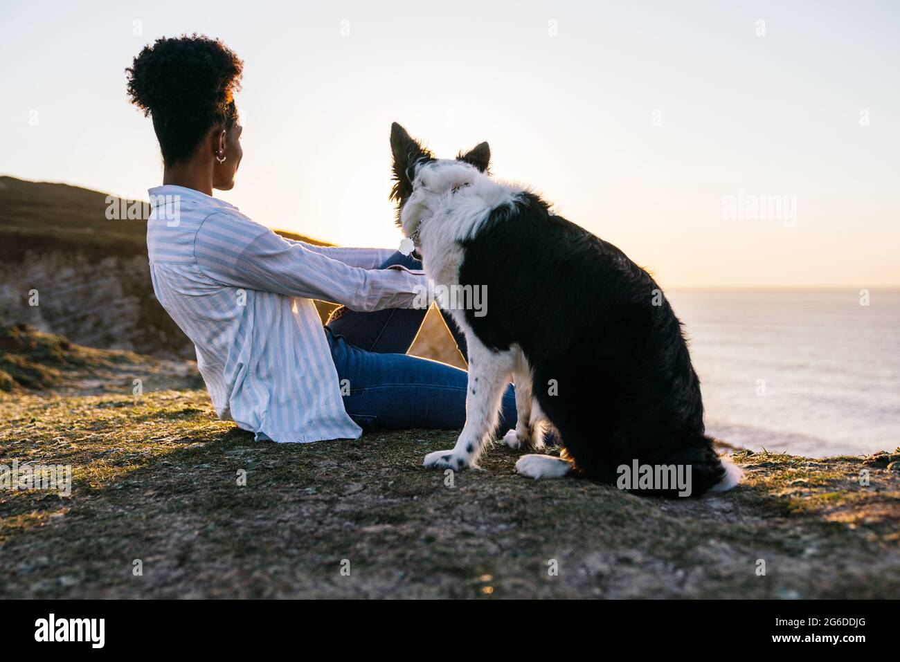 Side view of young African American female owner with Border Collie dog ...