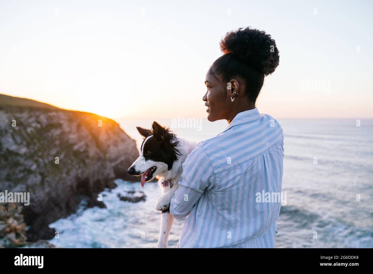 Side view of African American female owner holding cute happy Border ...