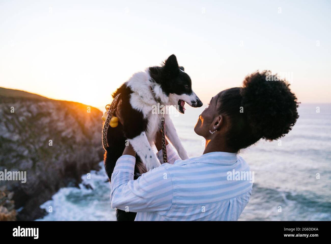 Side view of African American female owner holding cute happy Border ...