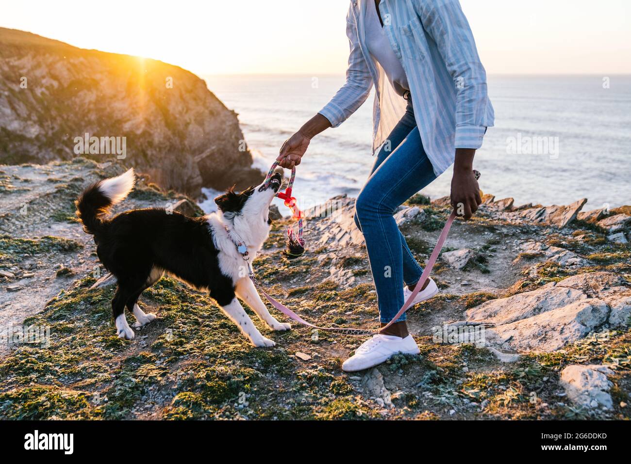 Side view of cropped unrecognizable African American female owner with ...