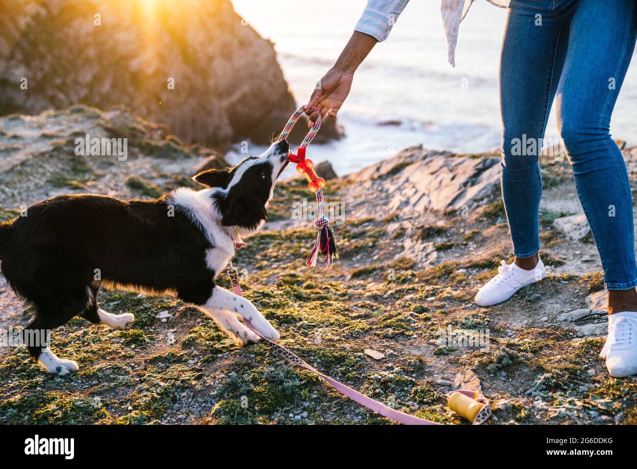 Side view of cropped unrecognizable African American female owner with ...