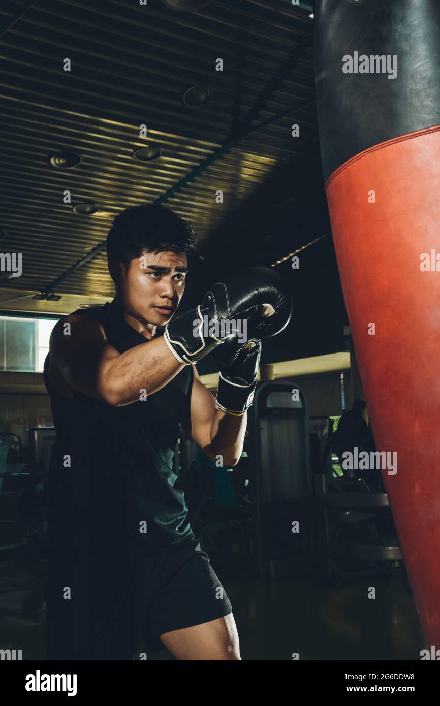 Young focused Asian man training boxing performing punches while ...