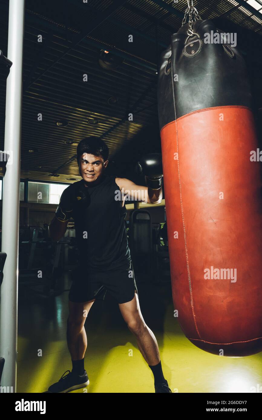 Young focused Asian man training boxing performing punches while ...