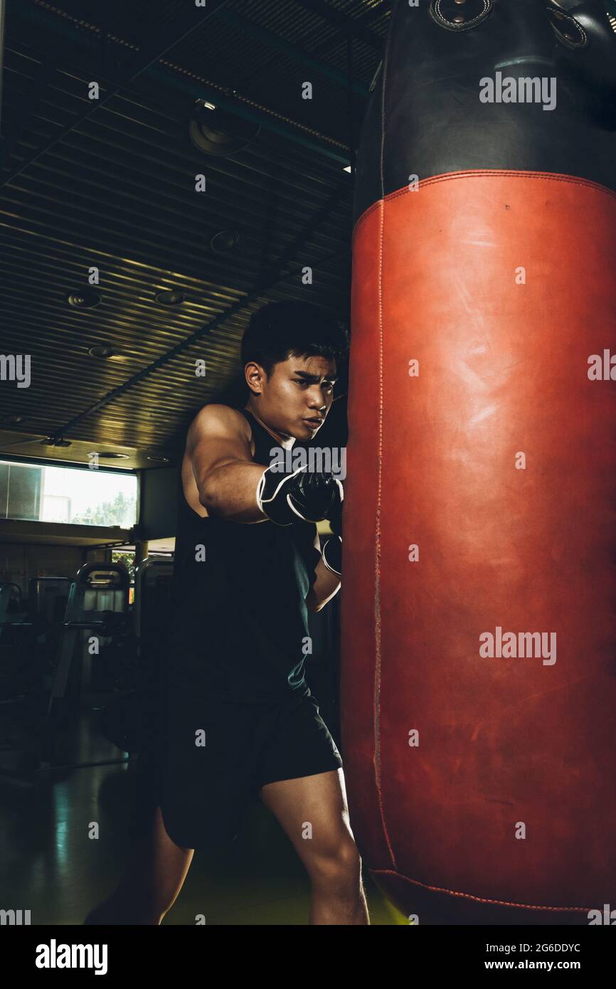 Young focused Asian man training boxing performing punches while ...
