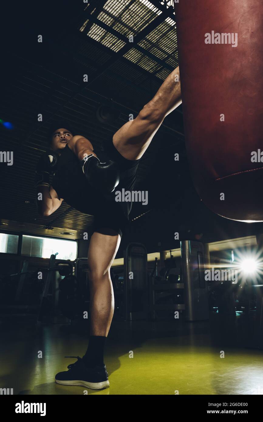 Young focused Asian man training kick boxing performing strike kicks ...
