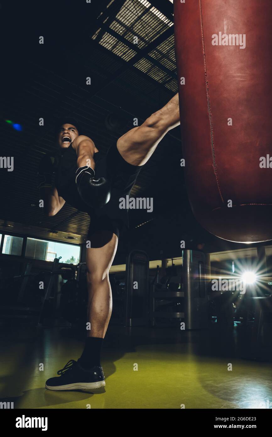 Focused muscular boxer man kickboxing hi-res stock photography and ...