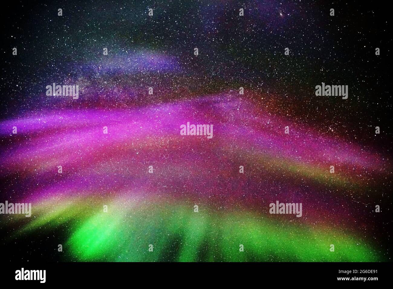 Spectacular green and pink Northern Lights in Tromso Stock Photo - Alamy