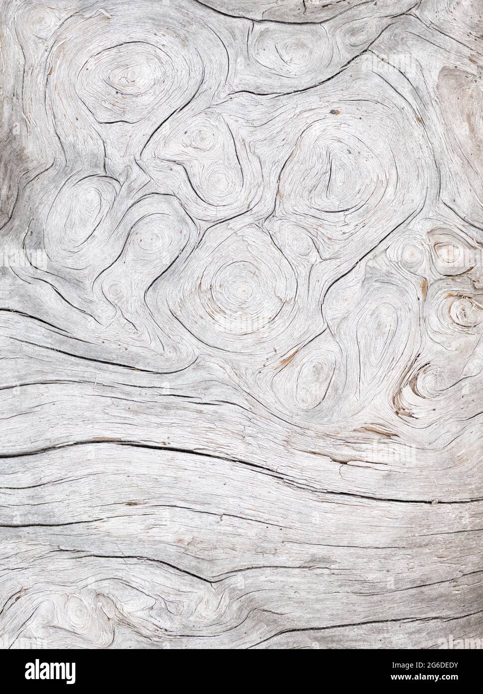 Close up of the spiral wood grain patterns in a piece of weathered ...