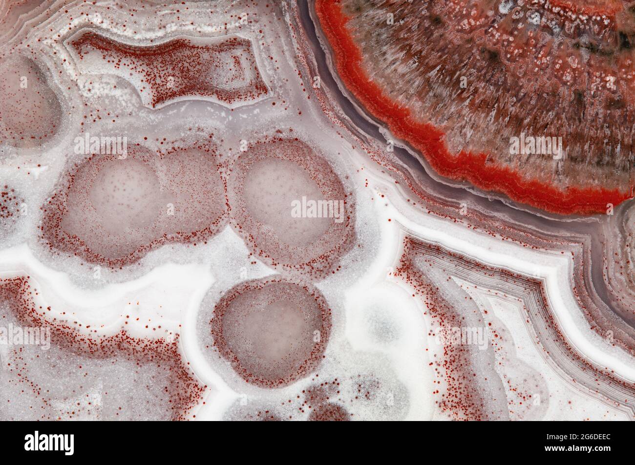 Macro of abstract background of agate gemstone with white and red spots ...