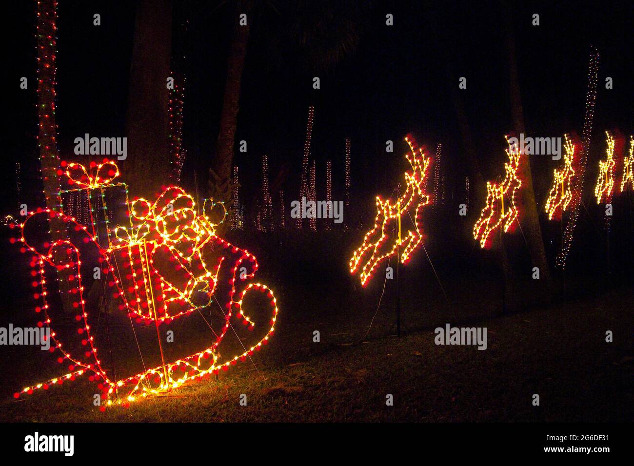 Santa sleigh with reindeer Christmas light display Stock Photo - Alamy