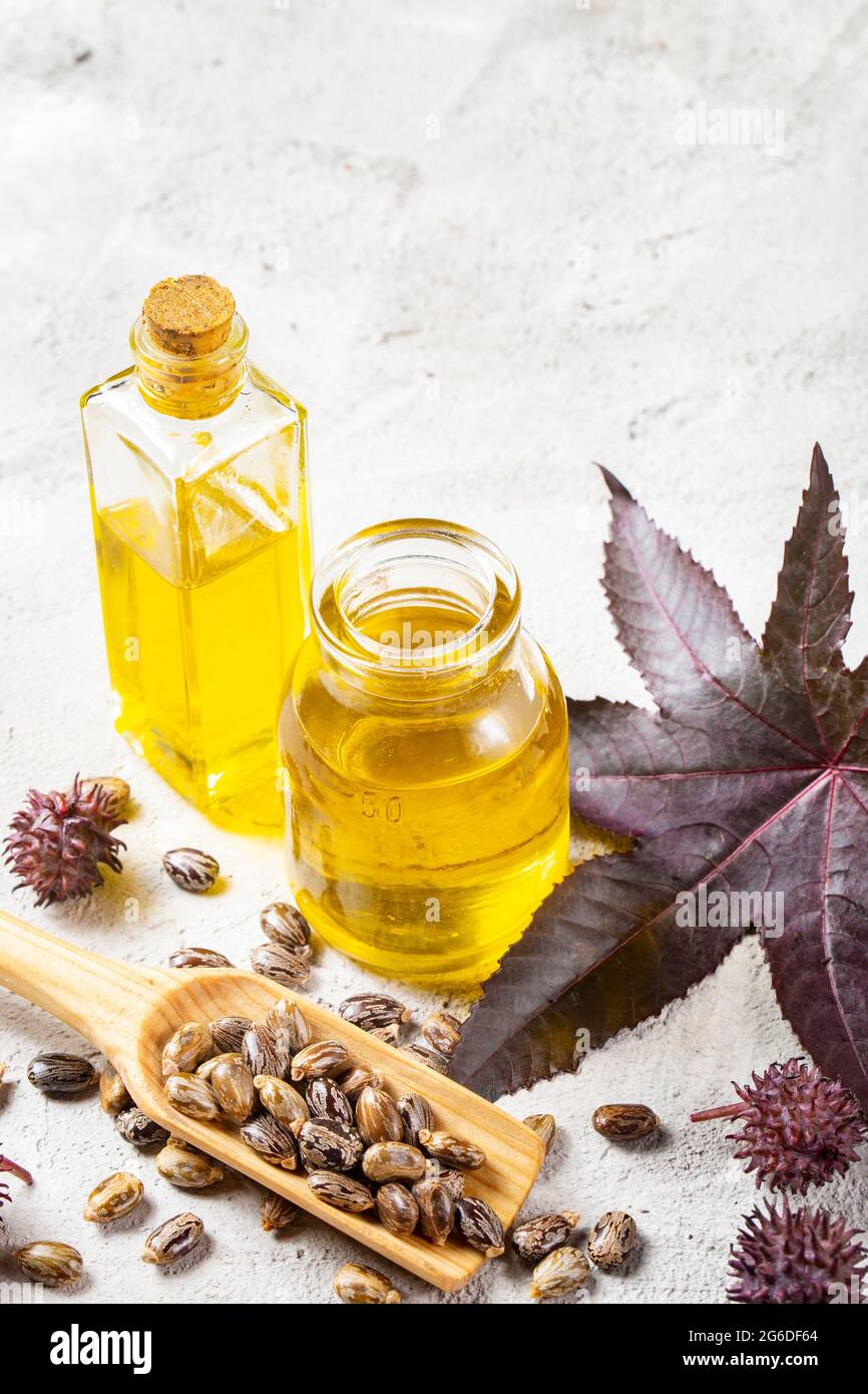 Castor oil, fruits and seeds - Ricinus communis Stock Photo - Alamy