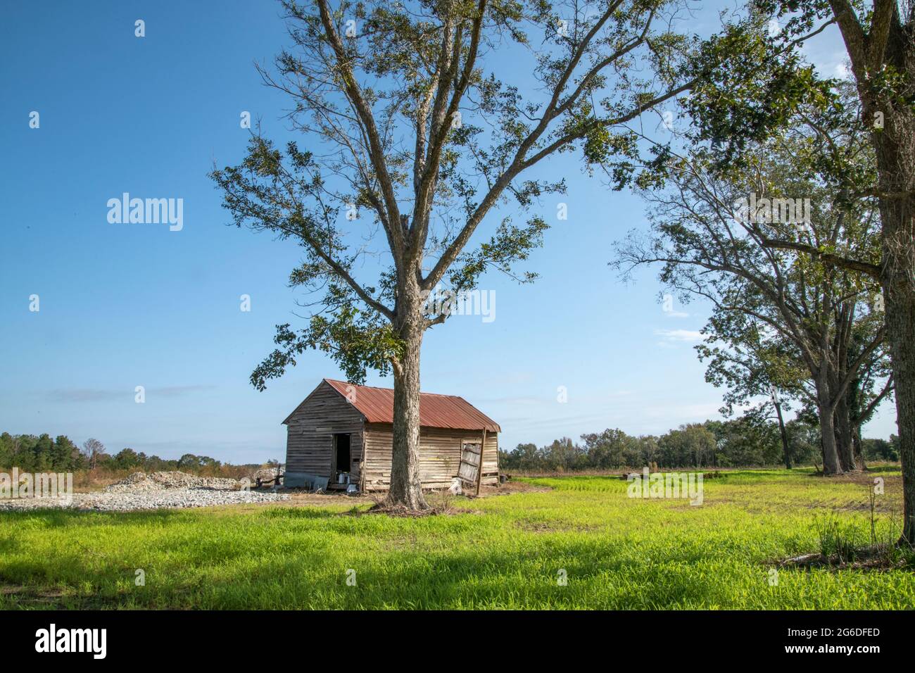 Abandoned shack hi-res stock photography and images - Alamy
