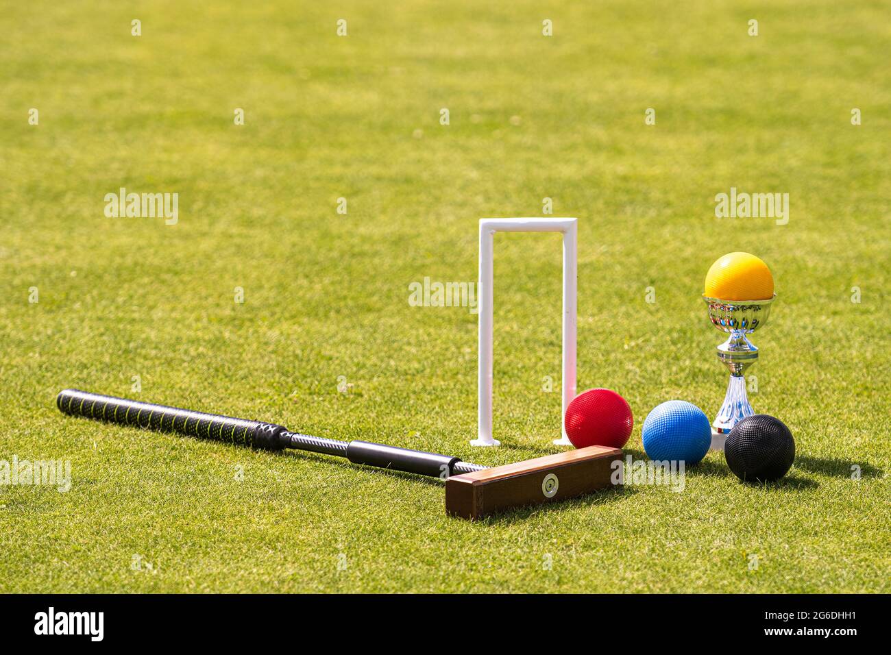 a set of colored balls, a hammer and a winners prize at the croquet ...