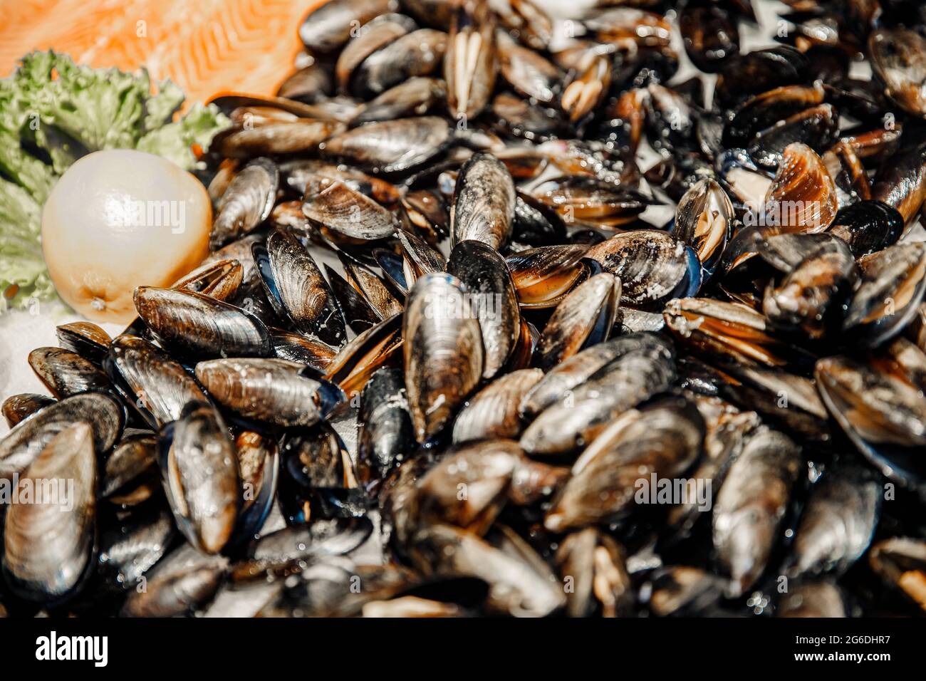 Mussels for export hi-res stock photography and images - Alamy