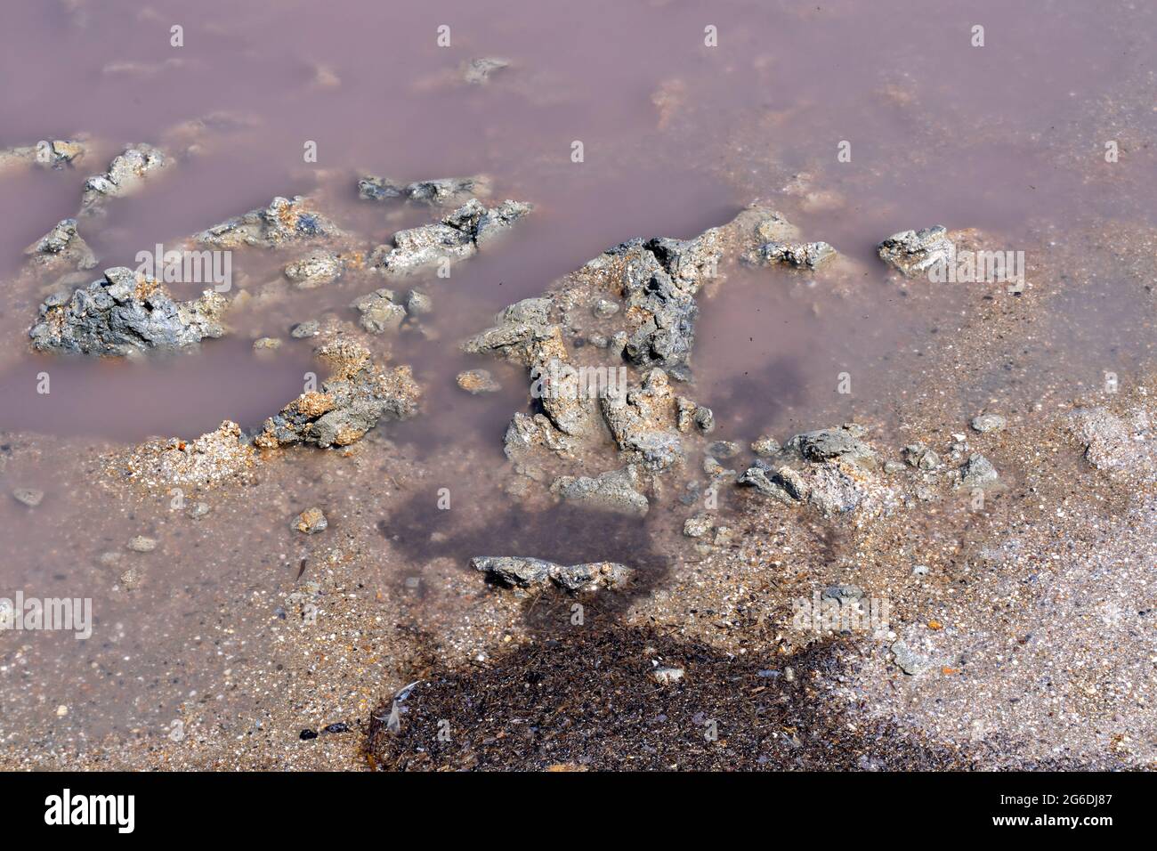 pink salt lake coast close up, shore texture Stock Photo - Alamy