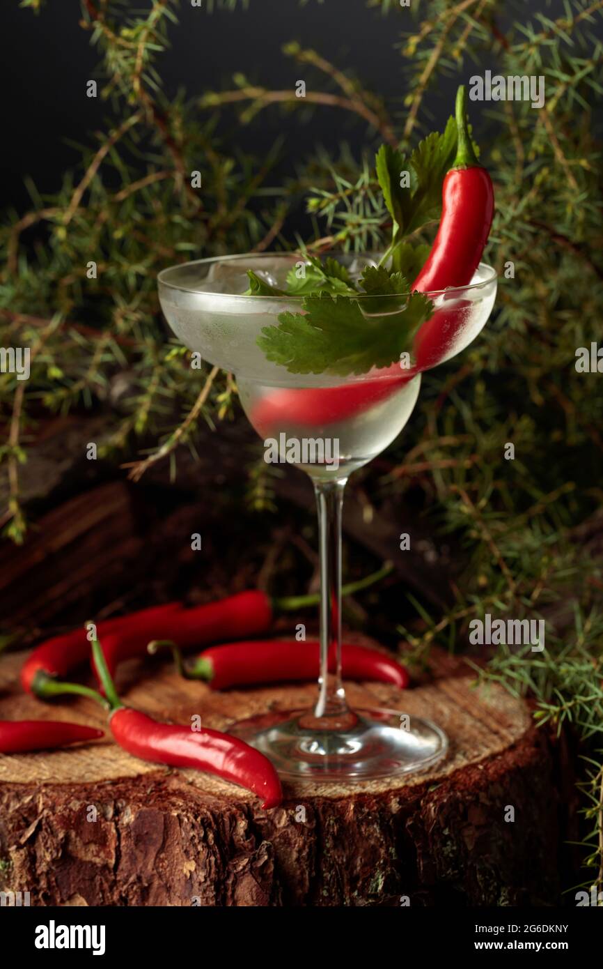 Gin and Tonic cocktail with red pepper and coriander. A cold iced ...