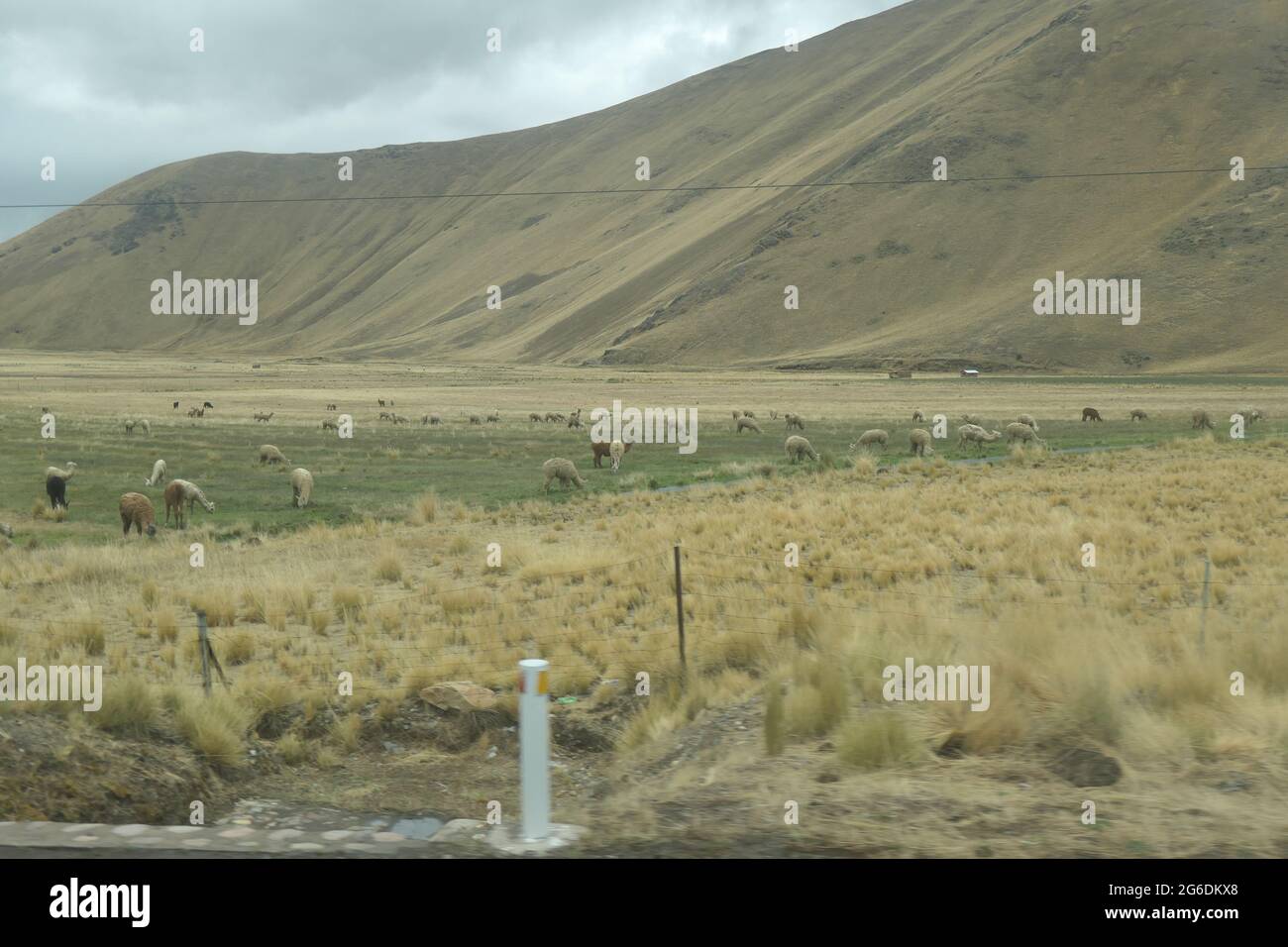 Peru Mountains and villages and local sheep animal animals farm farming ...