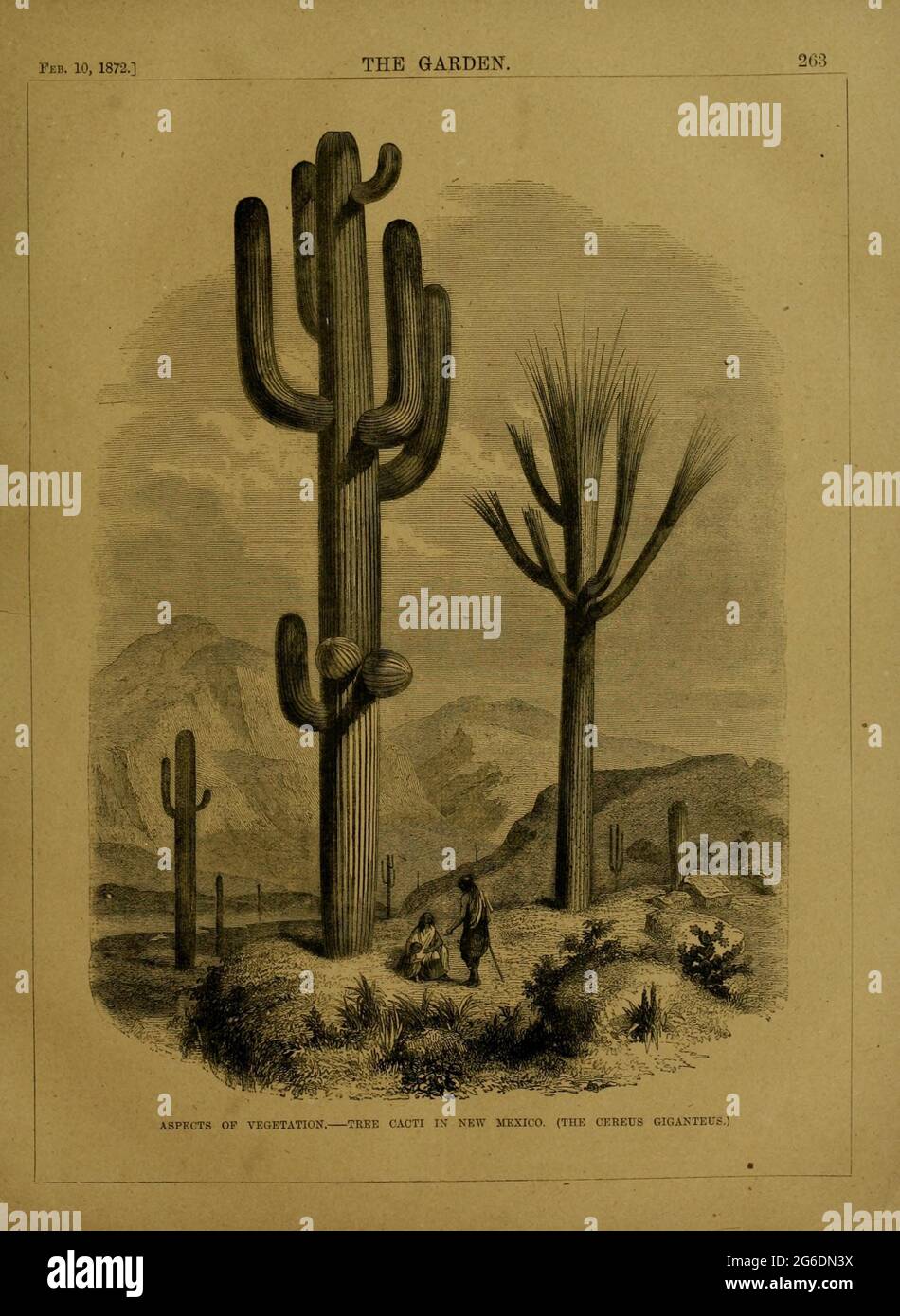 Invertebrates cartoon hi-res stock photography and images - Alamy